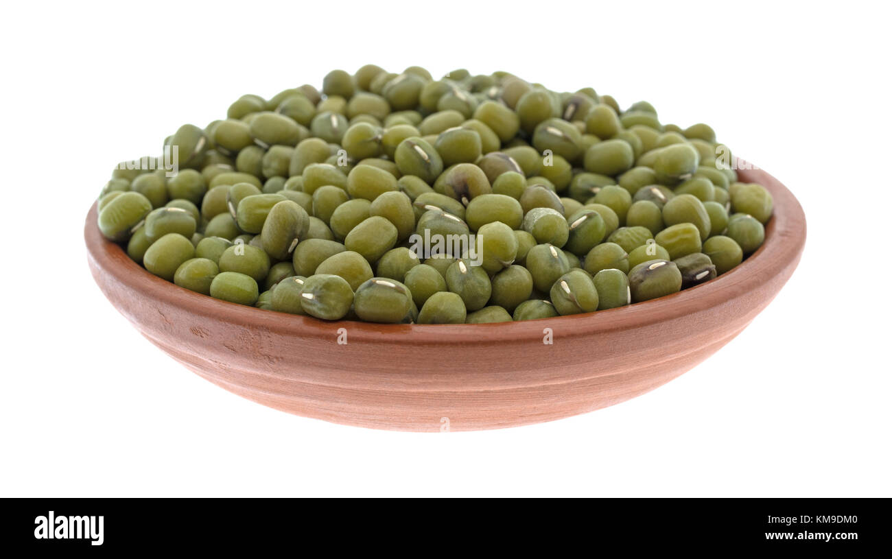 Side view of a portion of organic mung beans in a small terracotta bowl ...