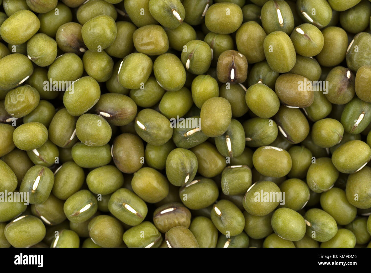 A very close view of organic green mung beans Stock Photo - Alamy