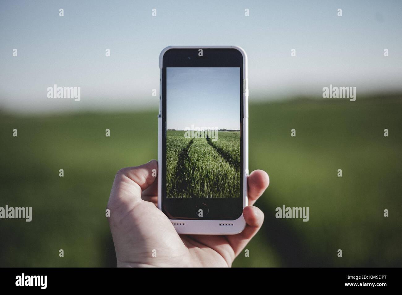 Field though a Mobile phone Stock Photo - Alamy