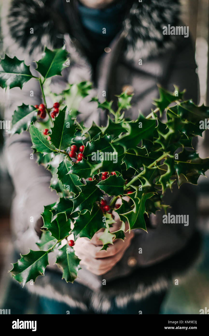 Woman holding holly branches Stock Photo - Alamy