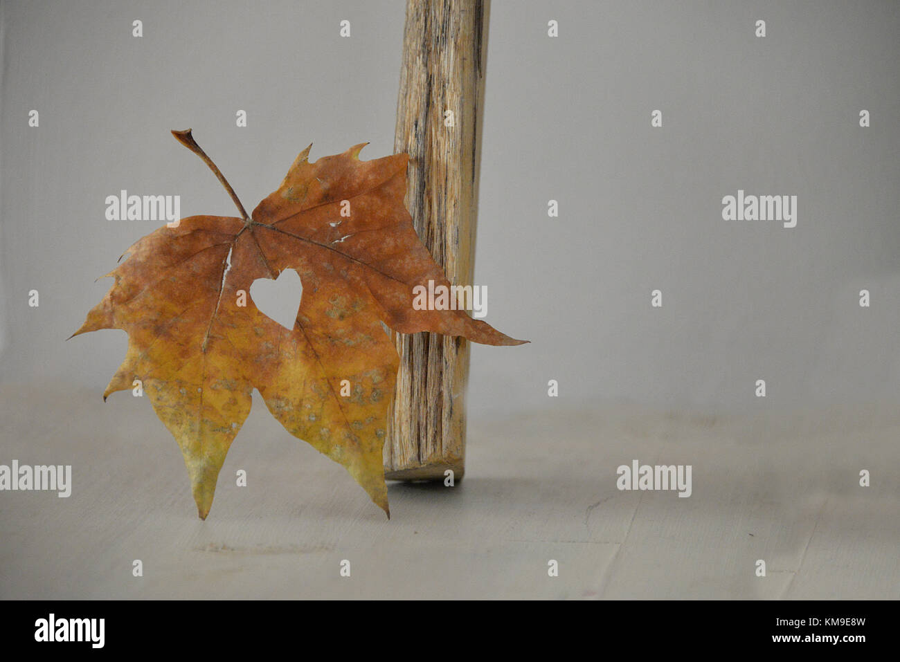 Fall foliage in heart hi-res stock photography and images - Alamy