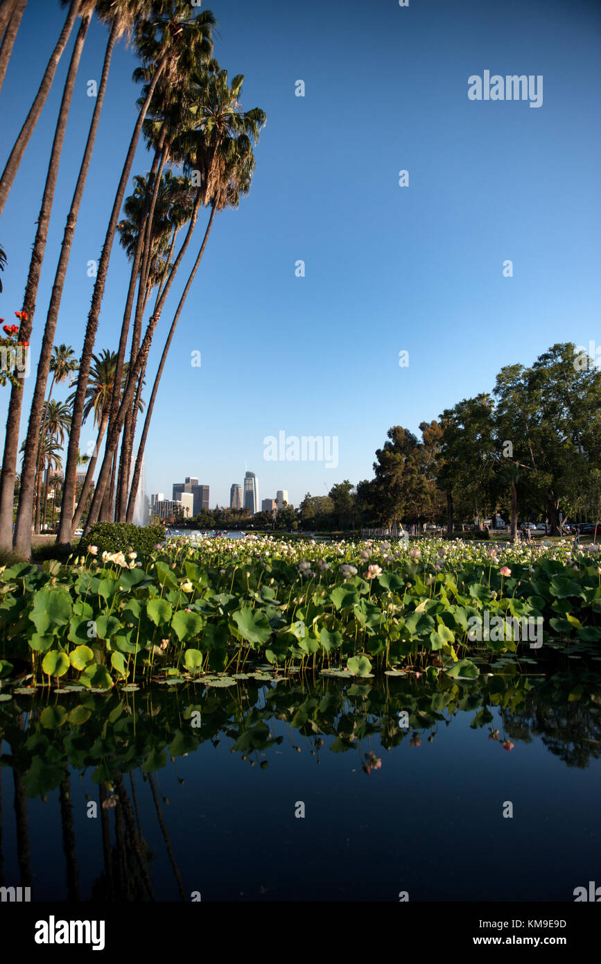Echo Park, Los Angeles, California, United States Stock Photo - Alamy