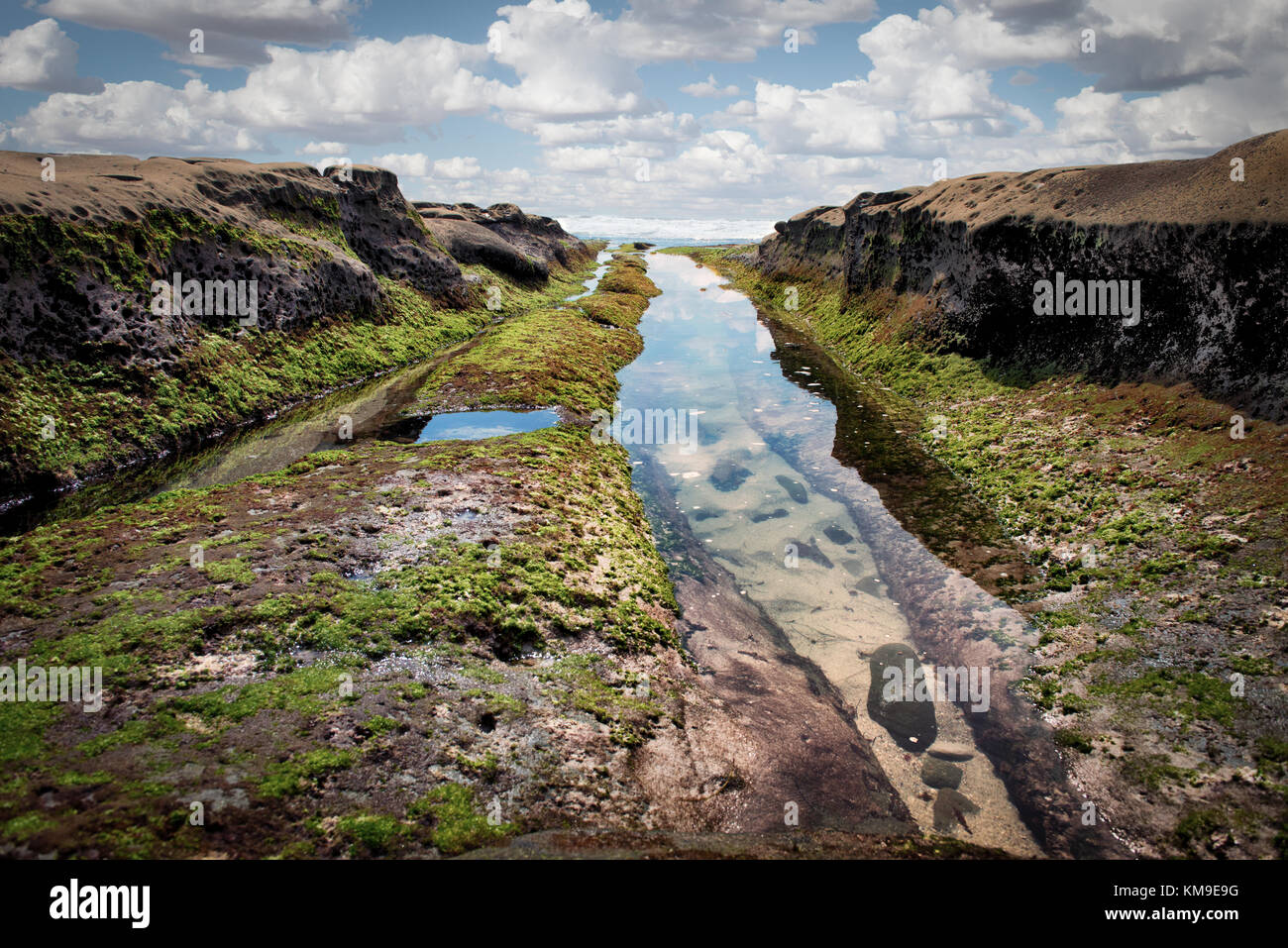 Water filled channel, Hospital Beach, La Jolla, California, United ...
