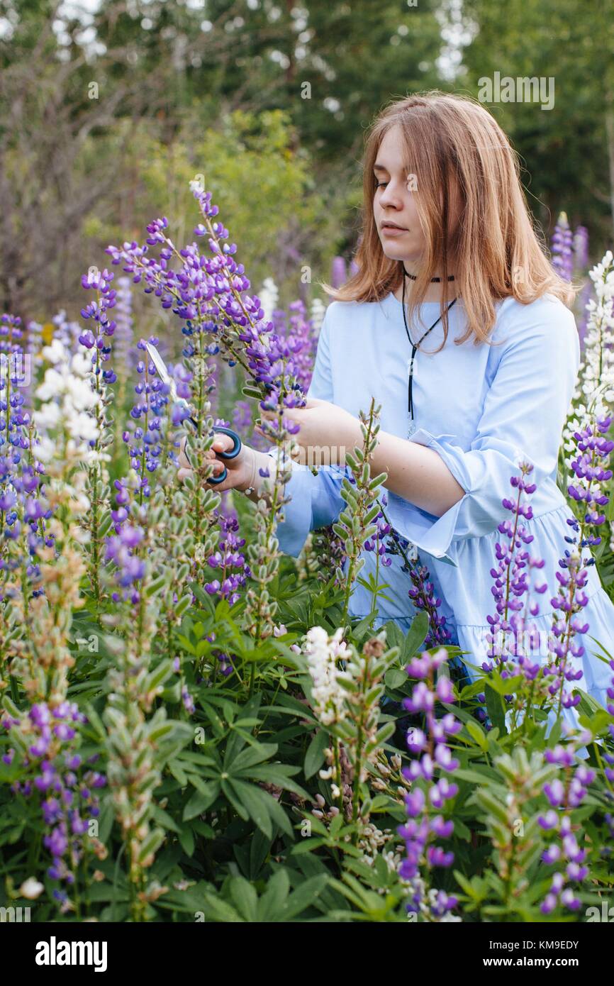 Woman picking flowers in a garden Stock Photo - Alamy
