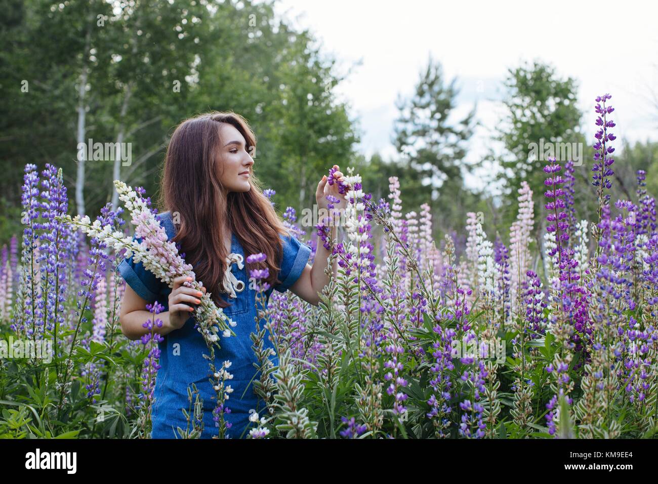 Woman picking flowers in a garden Stock Photo - Alamy