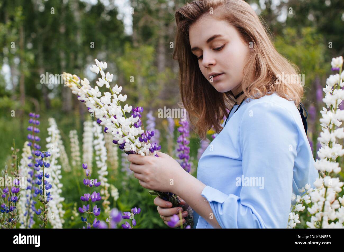 Woman picking flowers in a garden Stock Photo - Alamy