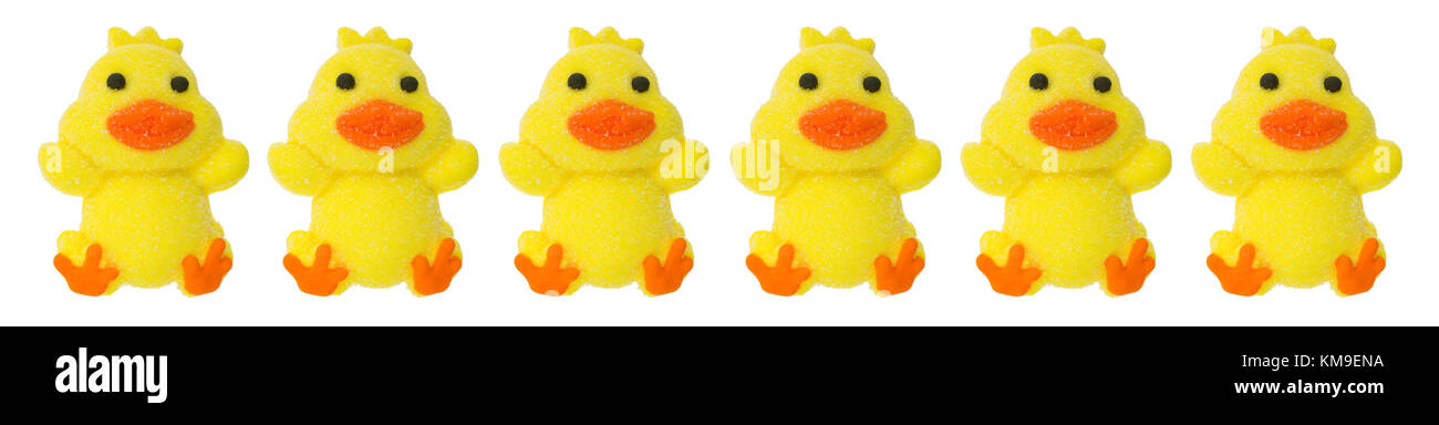 Ducklings row hi-res stock photography and images - Alamy