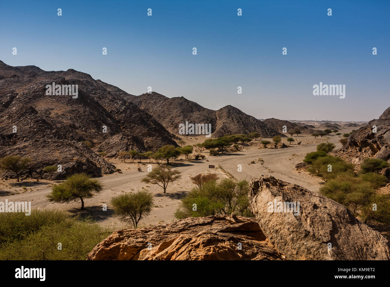 Riyadh saudi arabia aerial view hi-res stock photography and images - Alamy