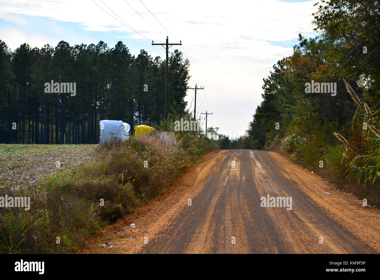 Harvested cotton in south Georgia Stock Photo - Alamy