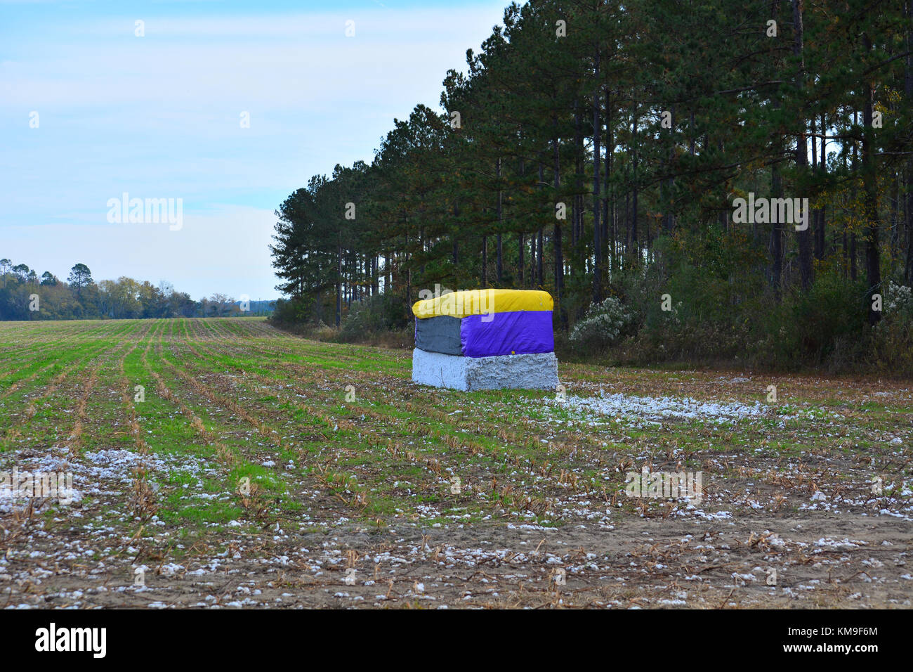 Georgia cotton farm hi-res stock photography and images - Alamy