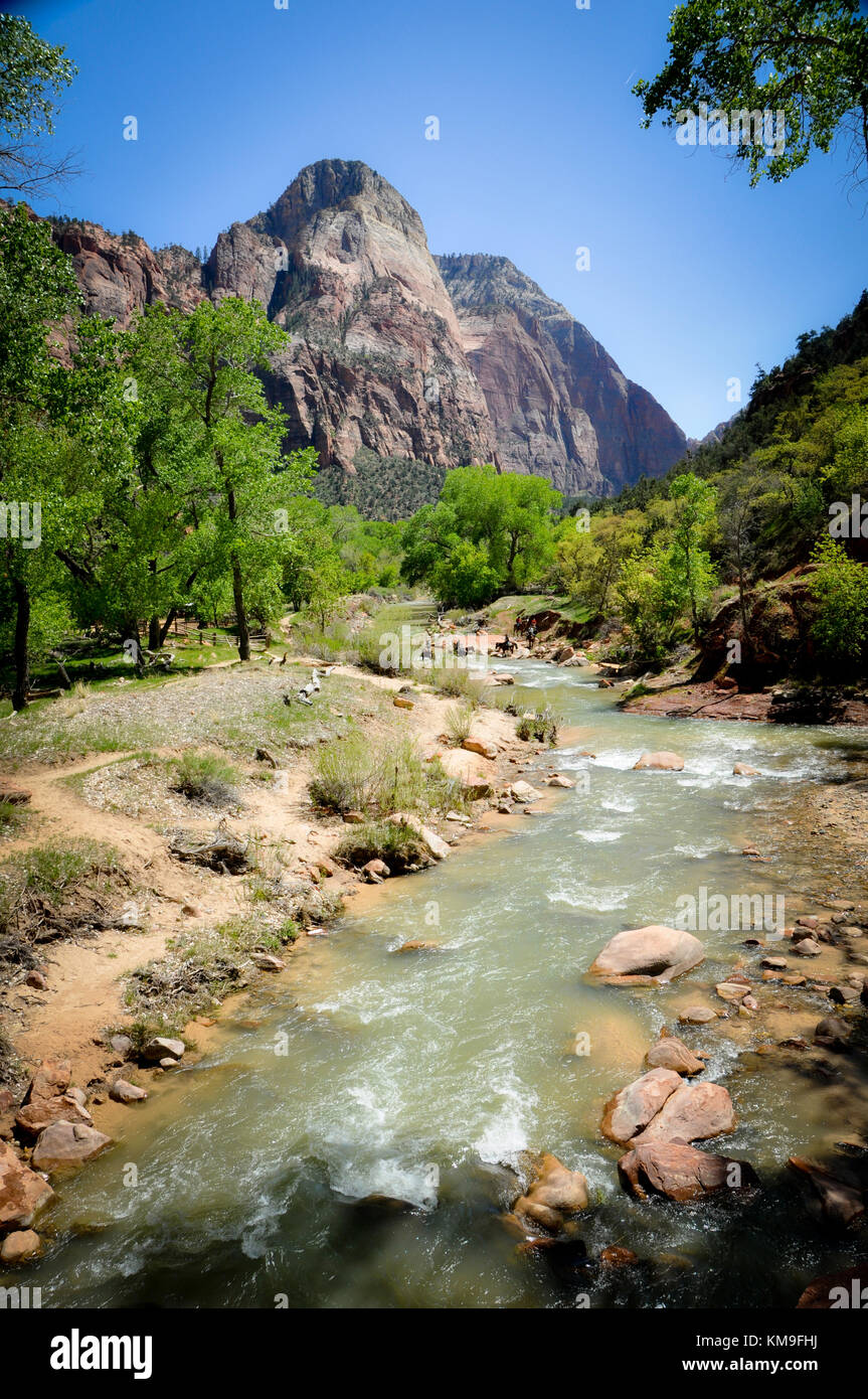 River in Zion National Park Stock Photo - Alamy