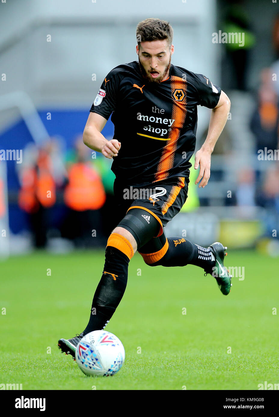 Wolves Matt Doherty Stock Photo - Alamy