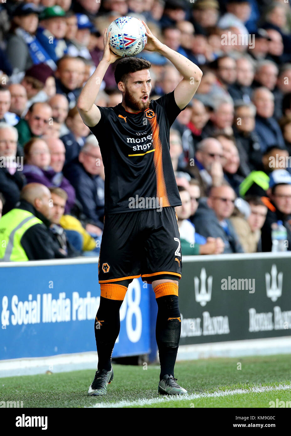 Wolves Matt Doherty Stock Photo - Alamy