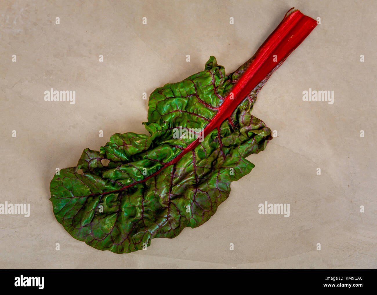 Chard leaf over the table Stock Photo - Alamy