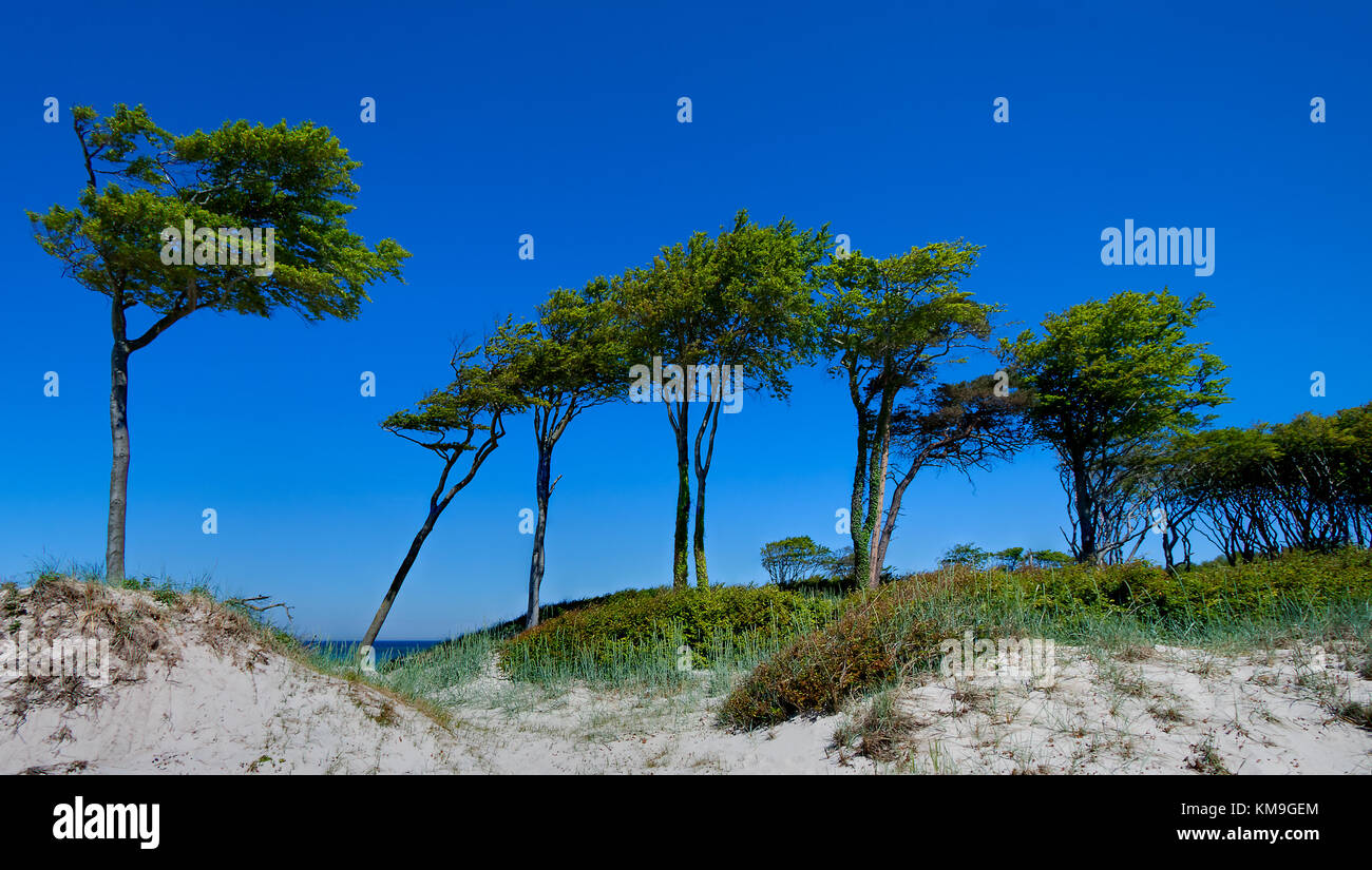 Untouched sea hi-res stock photography and images - Alamy