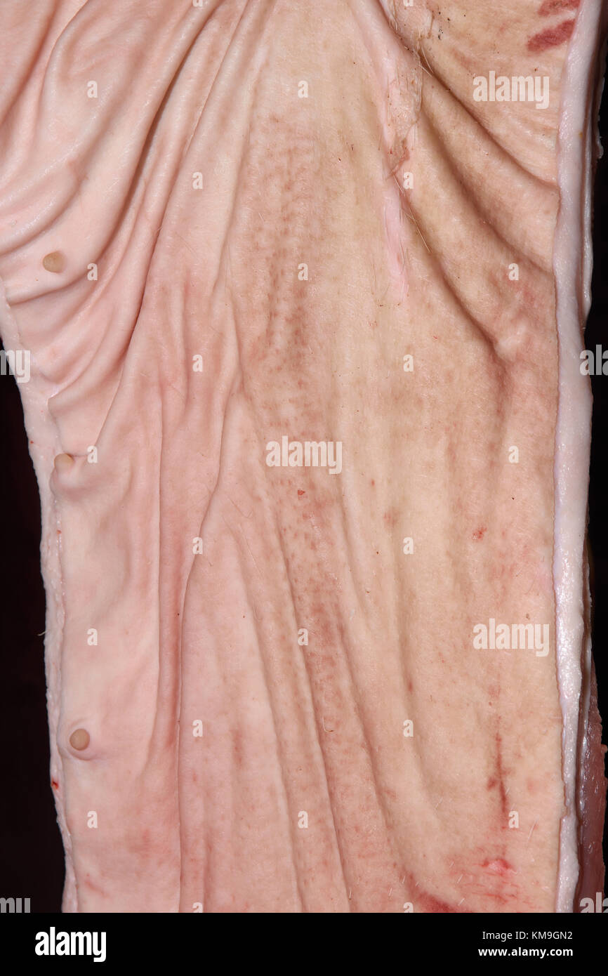 Pork meat industry, texture bacon Stock Photo - Alamy