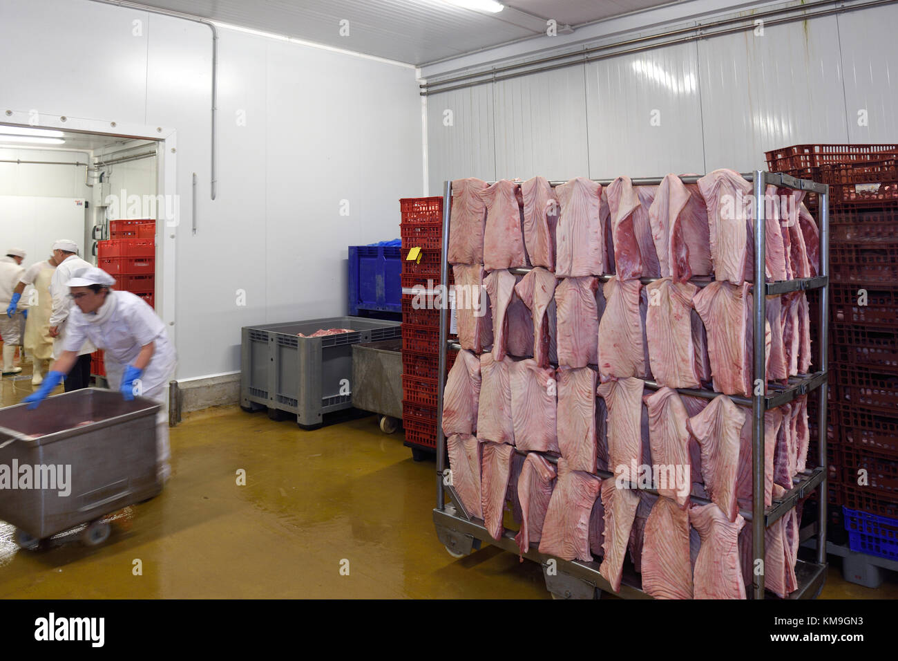 Meat Industry processing pork Stock Photo - Alamy