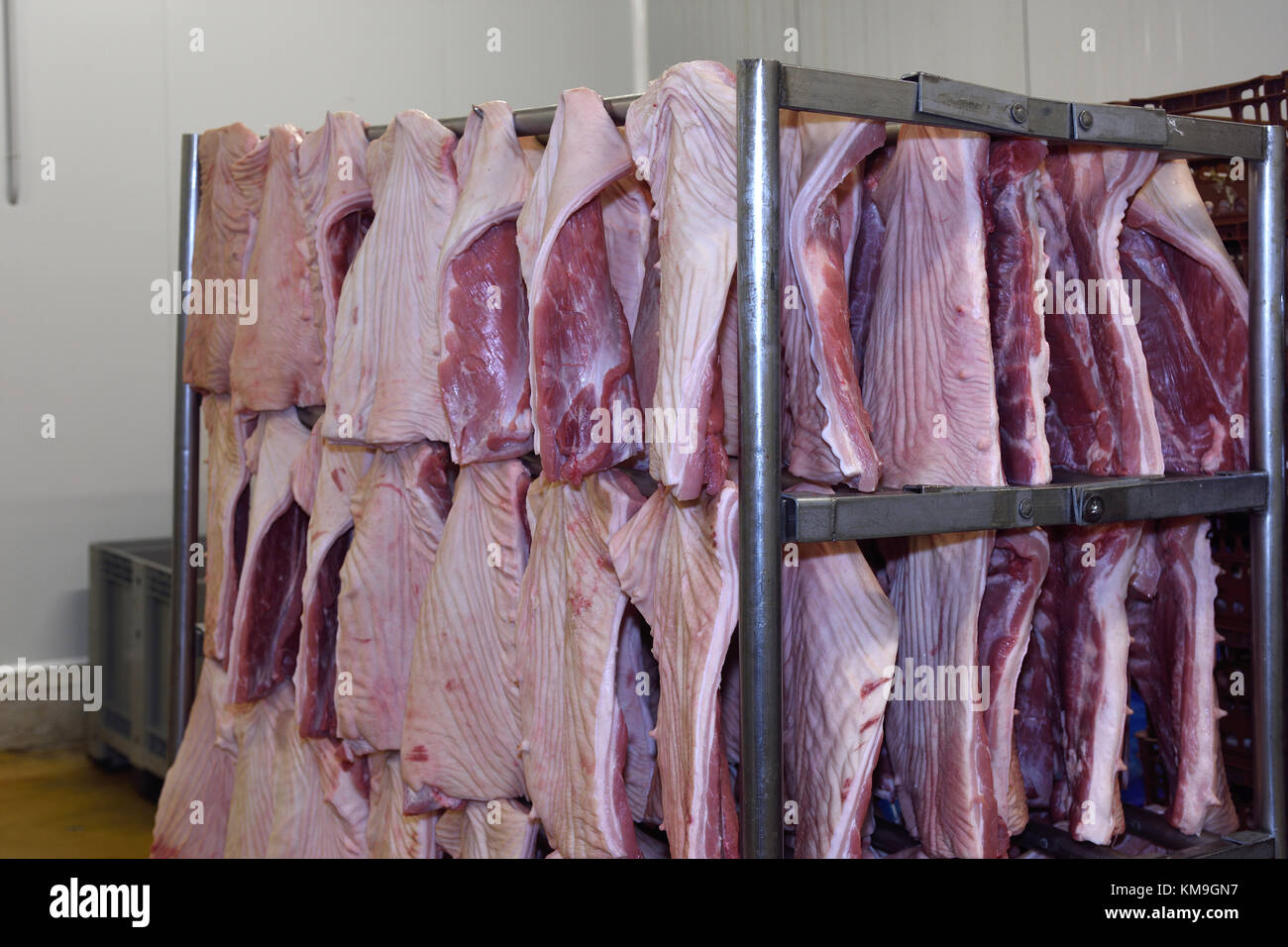 Cold storage warehouse interior meat hi-res stock photography and ...