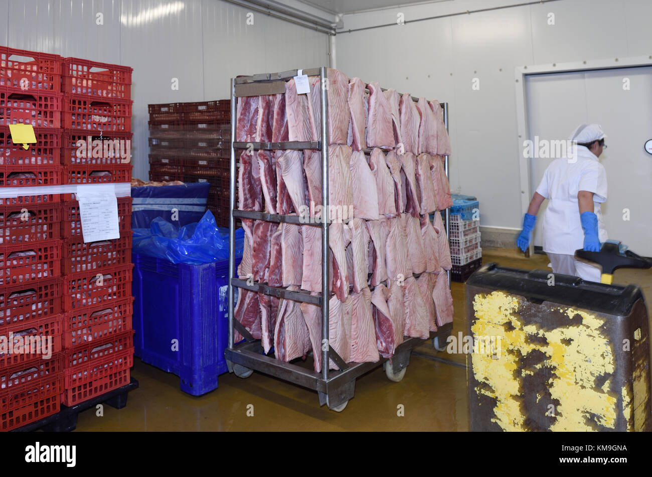 Meat Industry processing pork Stock Photo - Alamy