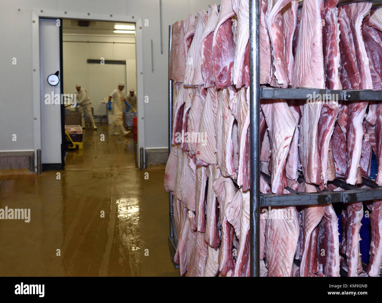 Processing pork hi-res stock photography and images - Alamy