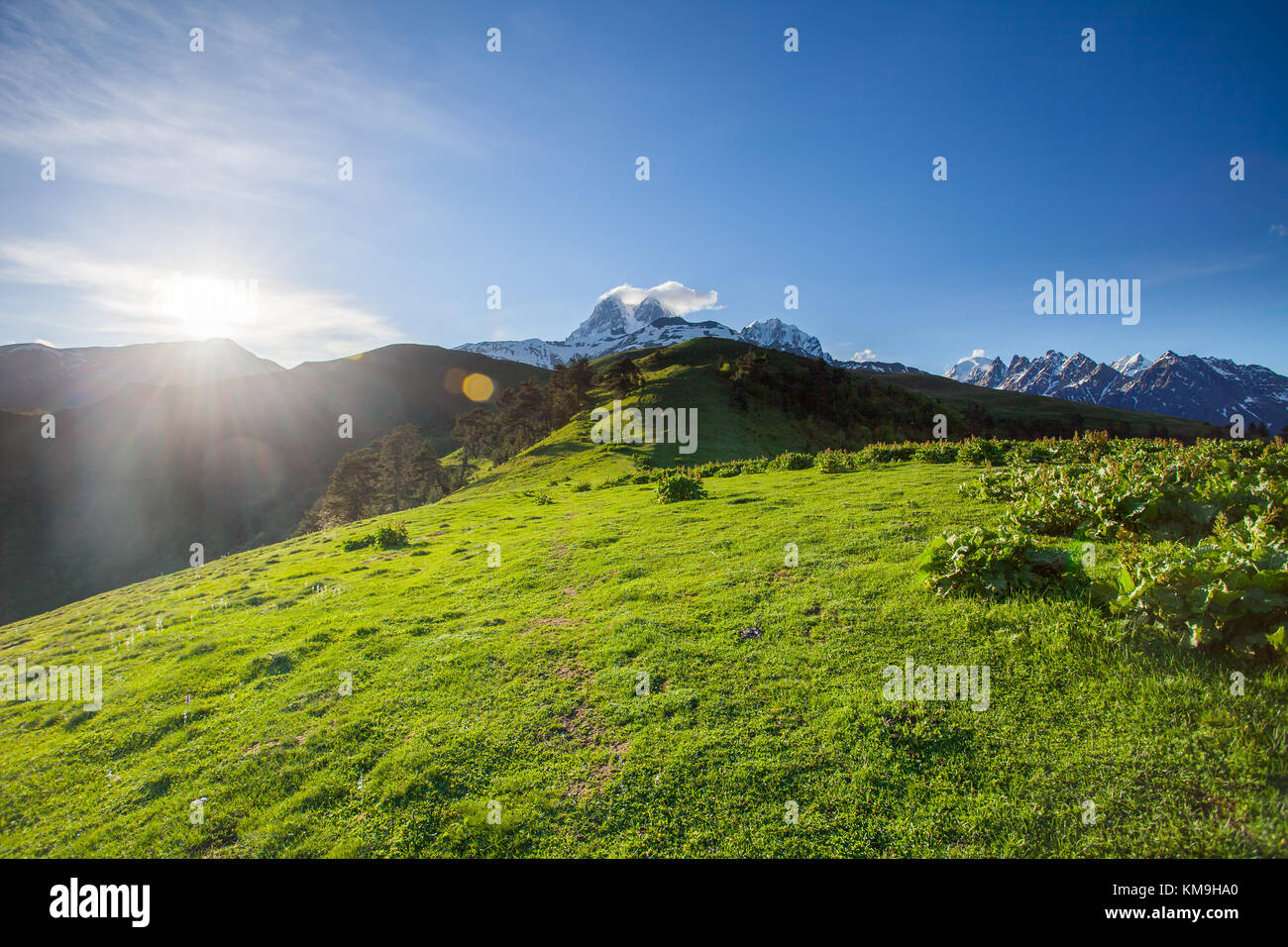 Mountain panorama summer landscape. Georgia Stock Photo - Alamy