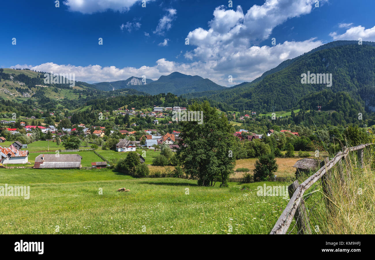 Summer alpine Transylvania landmark, landscape with green fields and ...