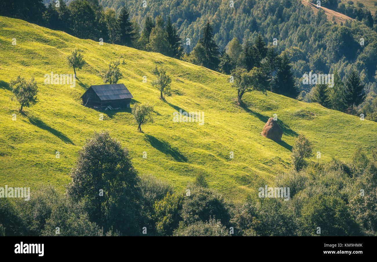 Stunning alpine landscape and green fields, Transylvania, Romania ...
