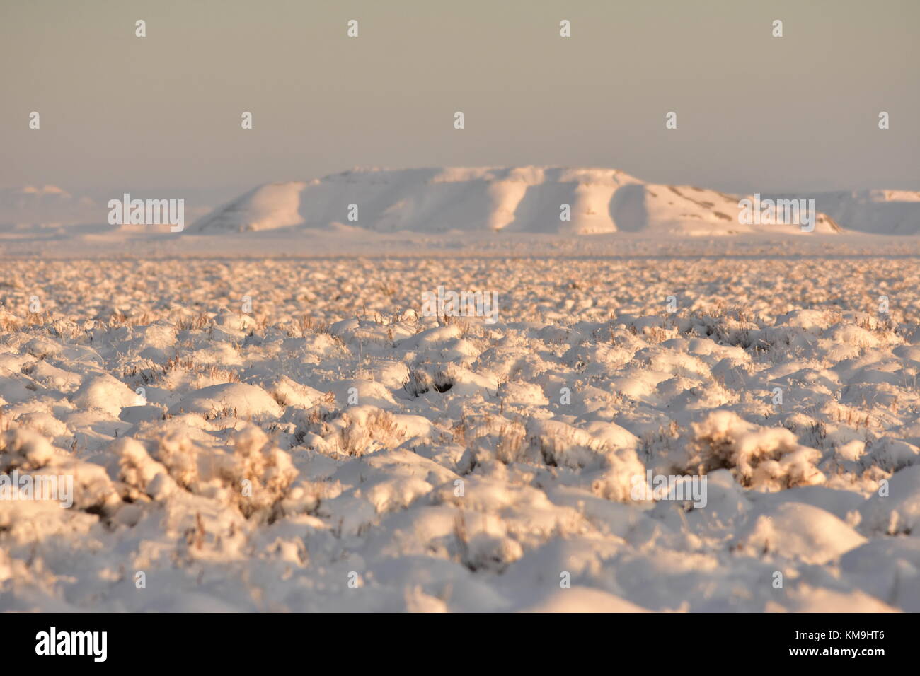 Fresh, fluffy snow covers the sagebrush steppe grassland after a winter ...