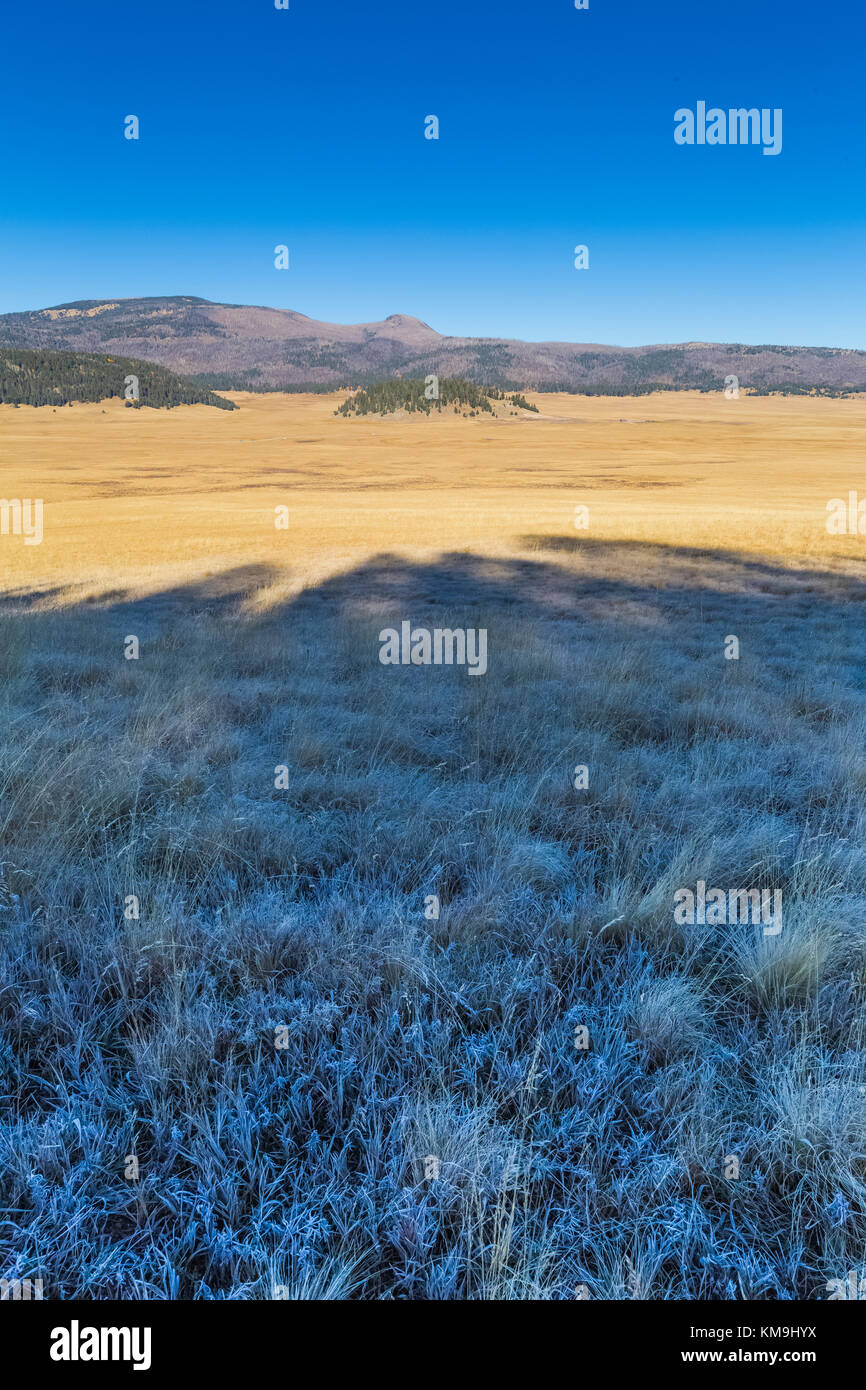 Valles Grande, formed from a collapsed volcanic caldera and now home to ...