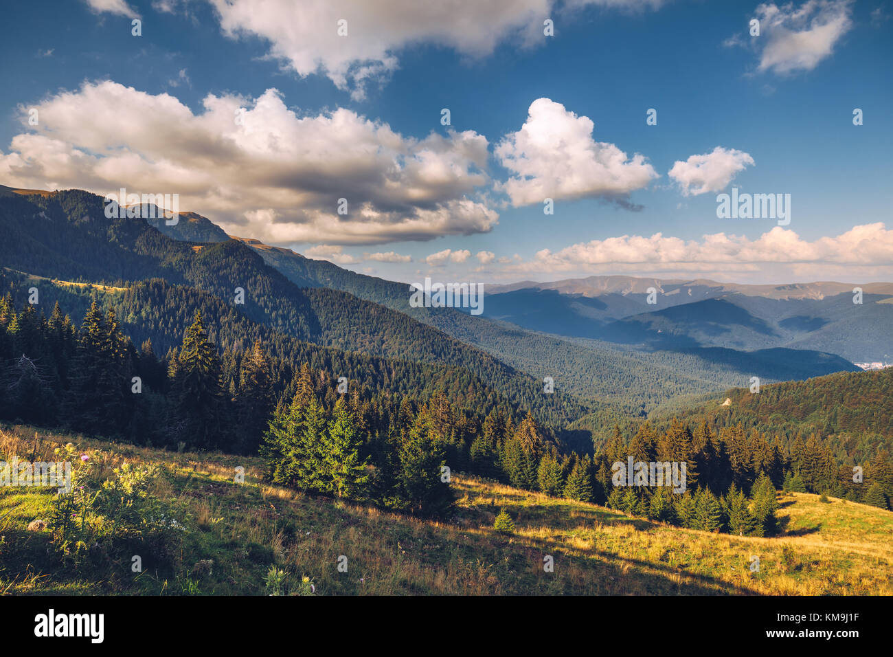 Summer alpine Transylvania landmark, landscape with green fields and ...