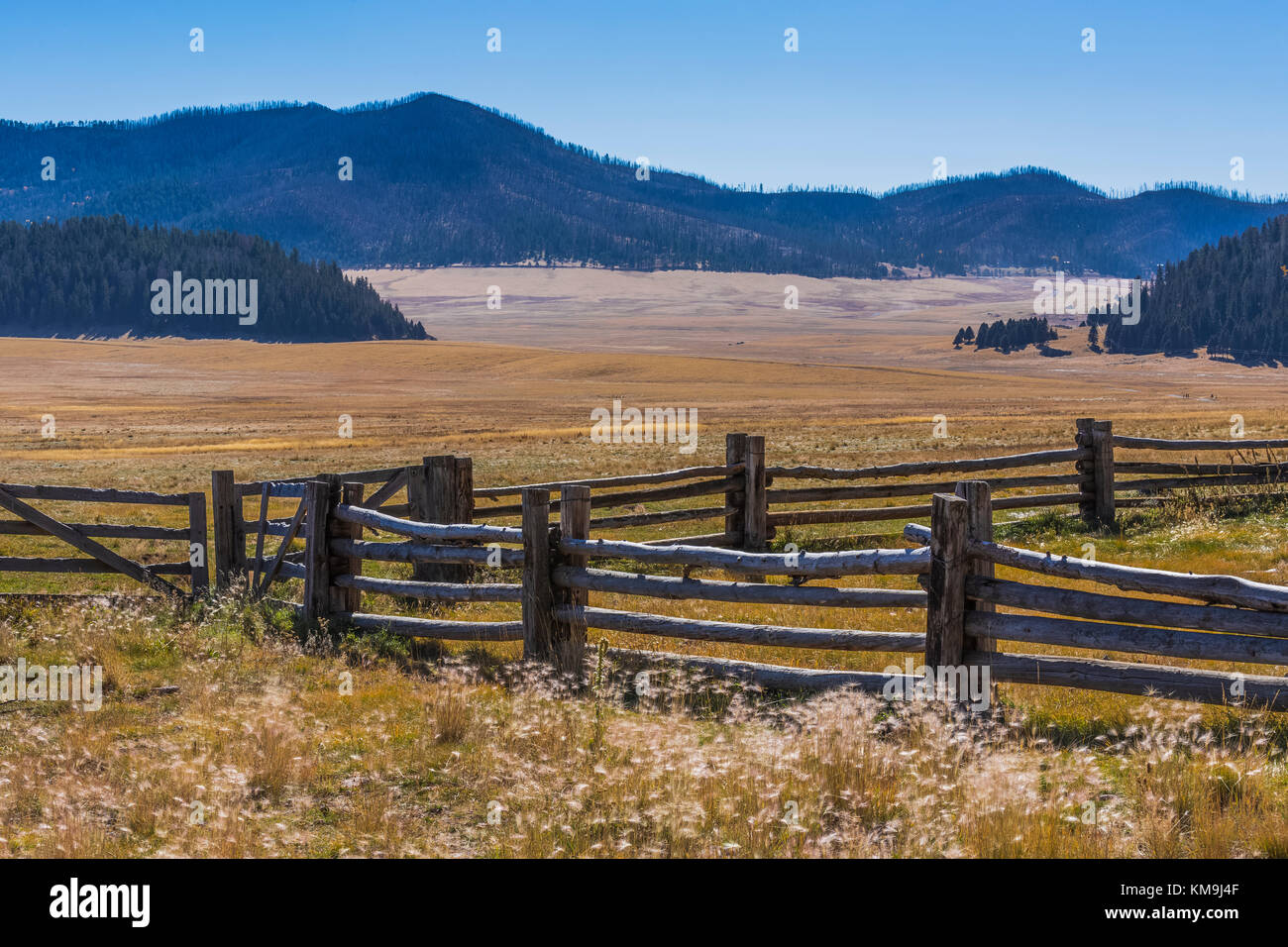 Corral at historic ranch in Valles Grande within Valles Caldera ...