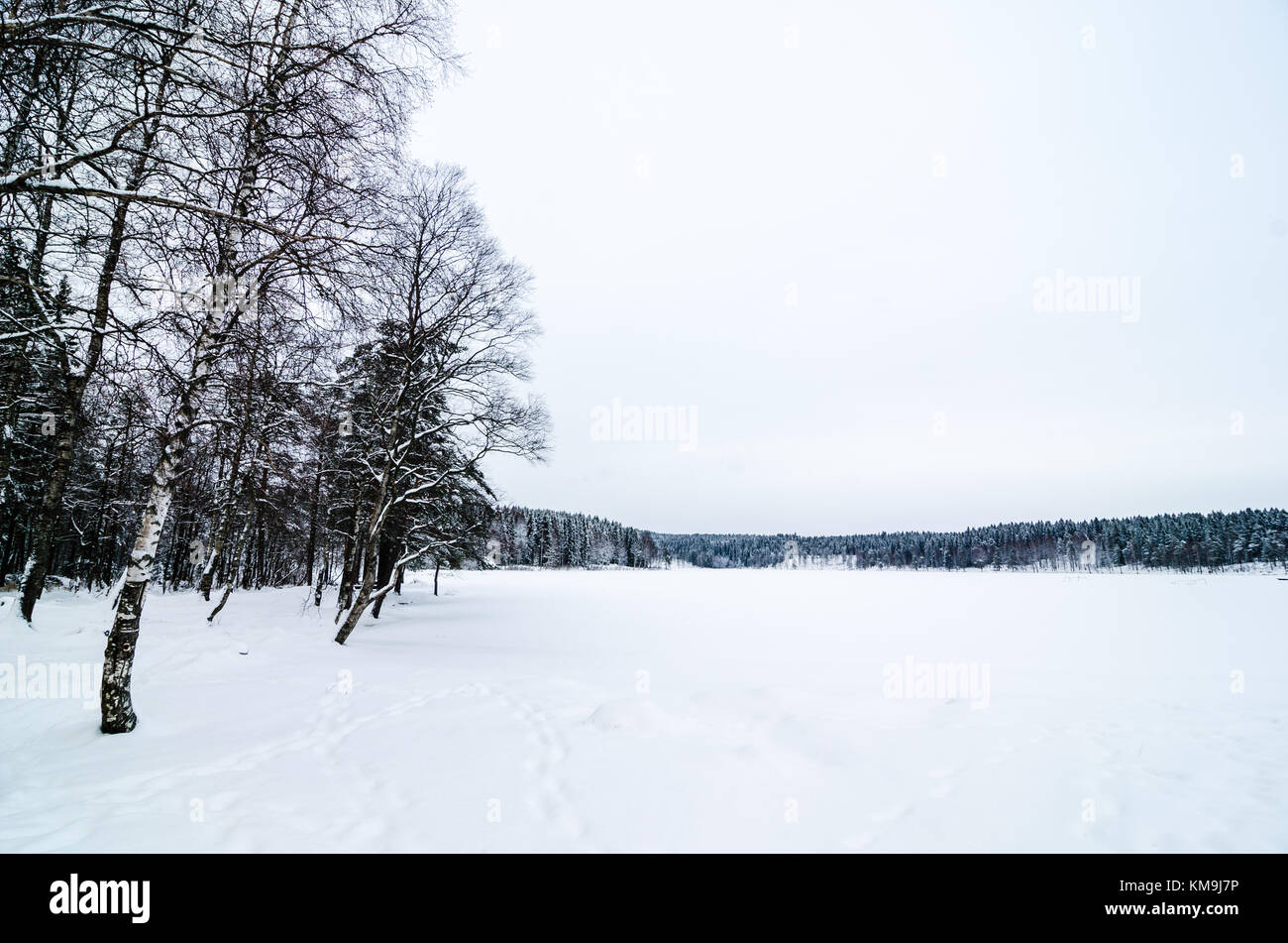 Sognsvann lake in Oslo Norway frozen a covered with snow. Inspirational ...