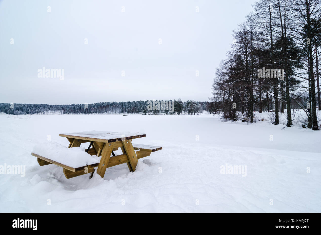 Wooden bench and table covered of snow in a snowy forest landscape ...