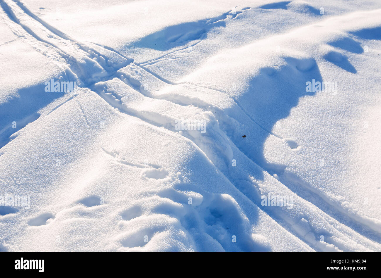 Beautiful snow texture with nordic ski tracks. Design lines Stock Photo ...