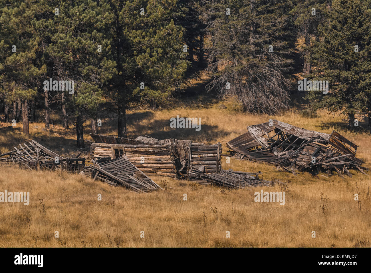 Cabins decaying into the earth in an old movie set in Valles Caldera ...