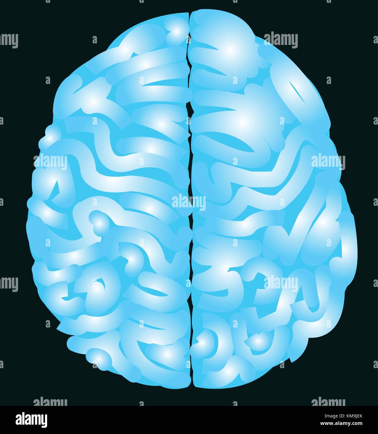 Blue brain with nerve vector and isolated background Stock Vector Image ...