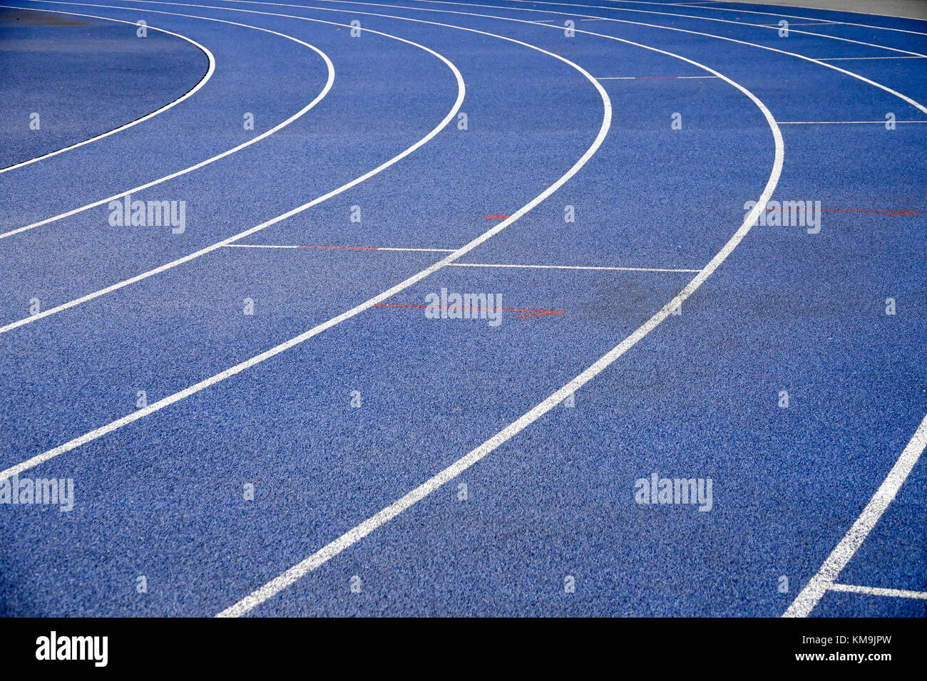 Blue racetracks with white markings. Specialized coating for running ...