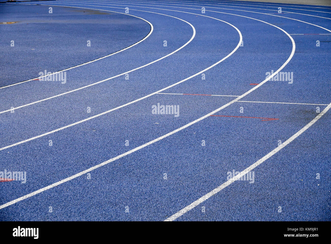 Blue racetracks with white markings. Specialized coating for running ...