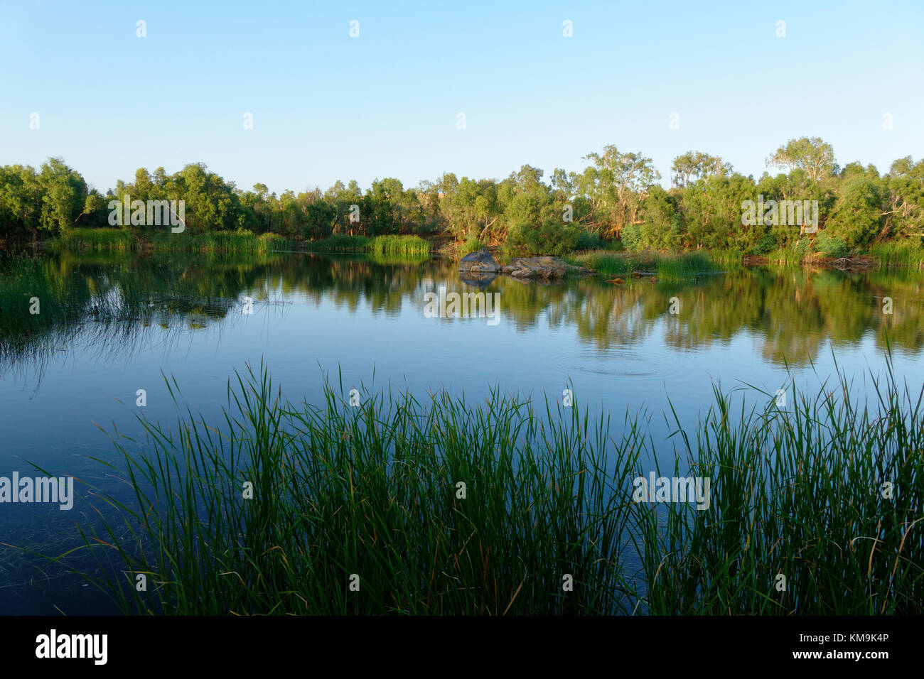 Miaree Pool, Pilbara, Western Australia Stock Photo - Alamy