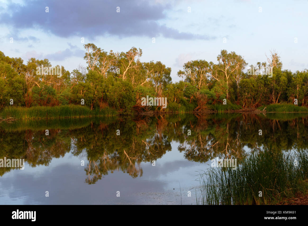 Miaree Pool, Pilbara, Western Australia Stock Photo - Alamy