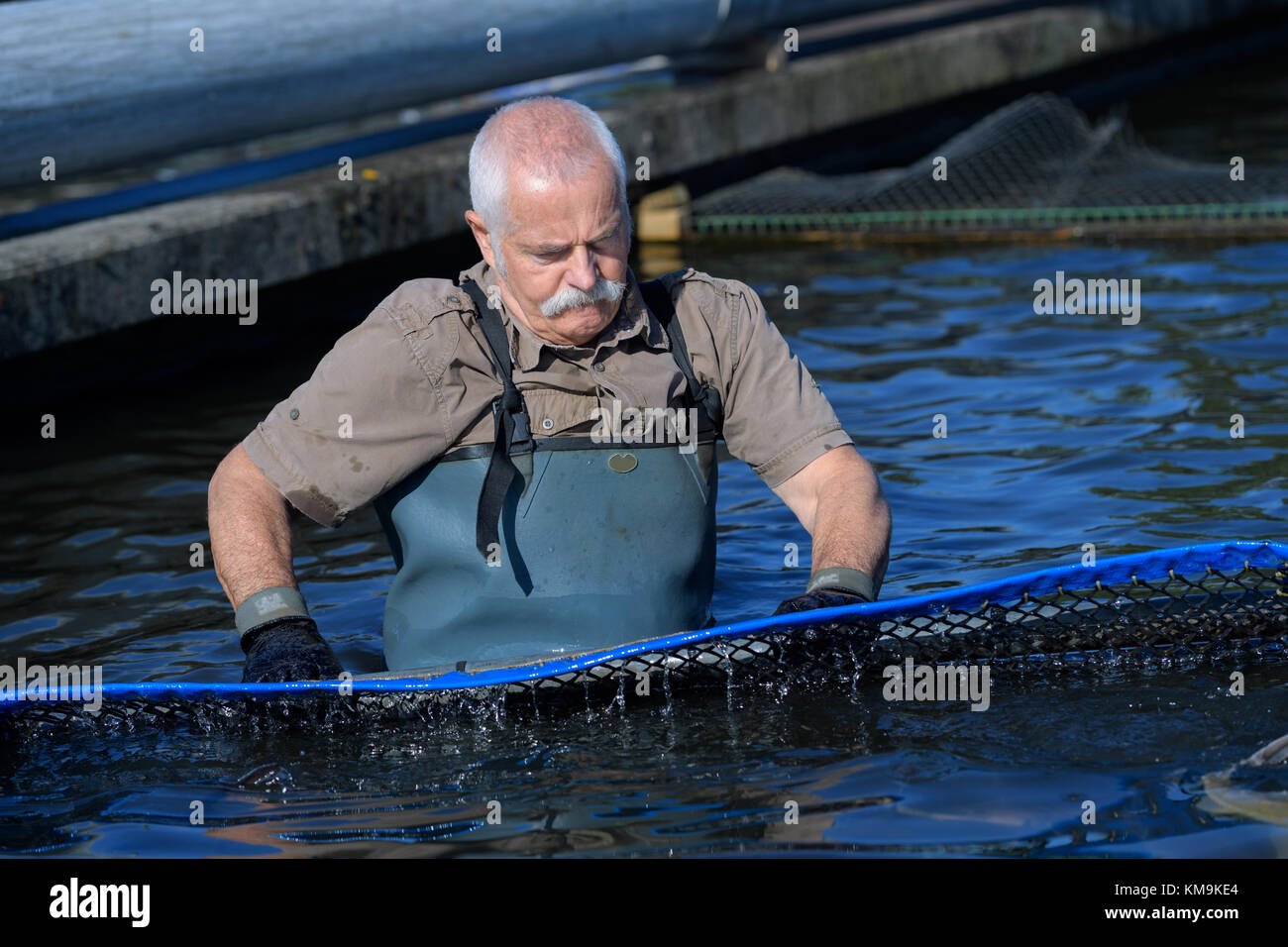 Fish old care hi-res stock photography and images - Alamy