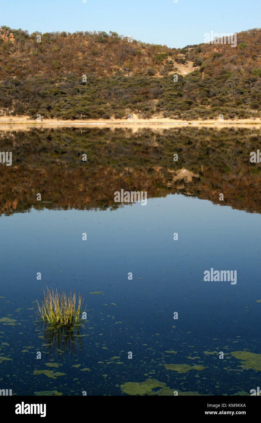 Lake water at Tswaing Crater, Pretoria, South Africa Stock Photo - Alamy