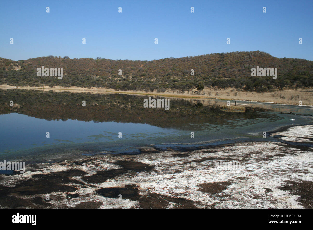 Lake water at Tswaing Crater, Pretoria, South Africa Stock Photo - Alamy