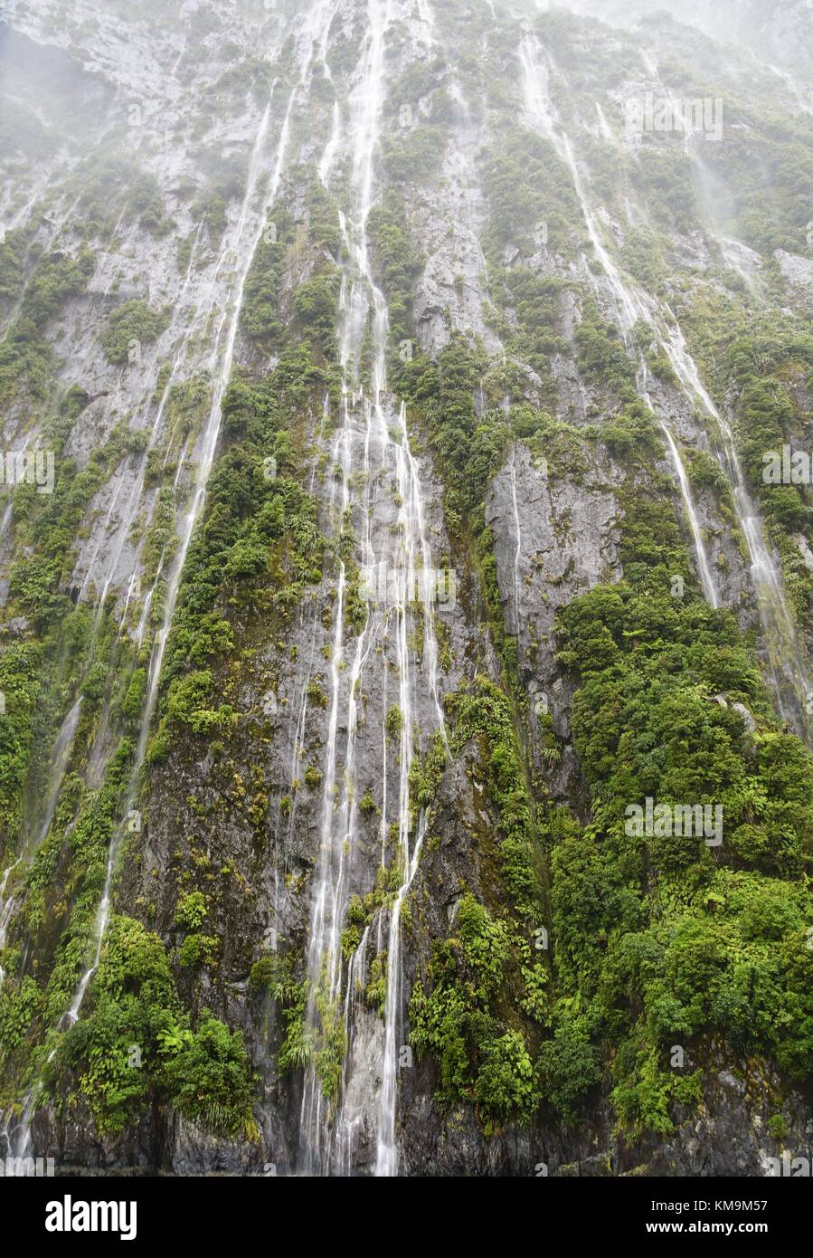 A huge waterfall falls from high altitude into the Milford Sound. (24 ...