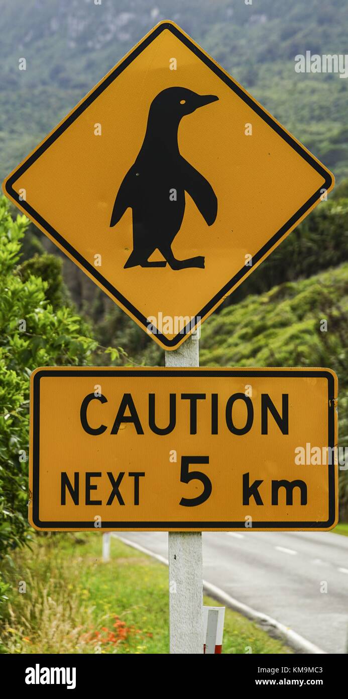 Yellow warning signs warn drivers at State Highway 6 at Punakaiki that ...