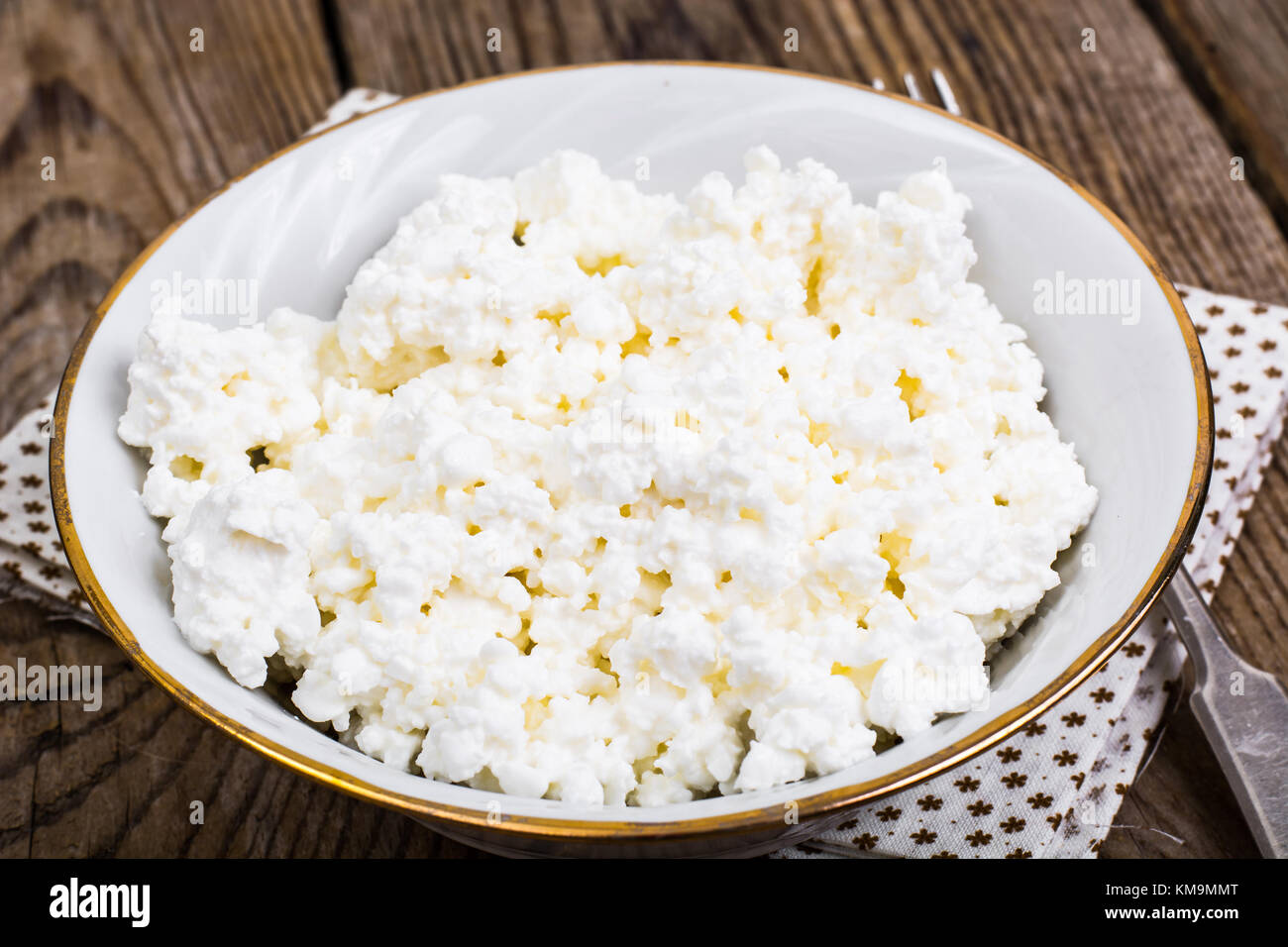 Fresh homemade cottage cheese in white bowl. Studio Photo Stock Photo ...