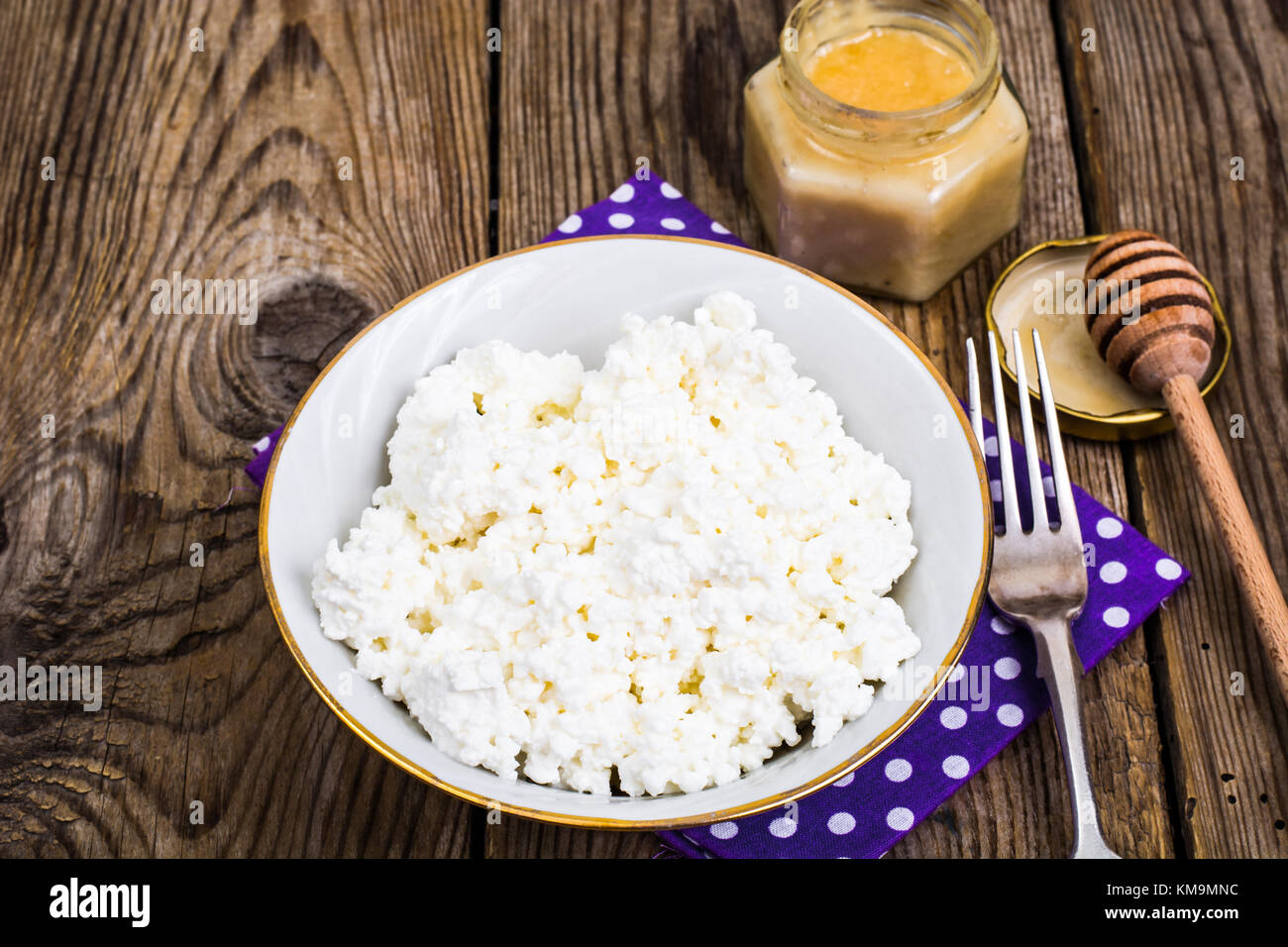 Fresh homemade cottage cheese in white bowl. Studio Photo Stock Photo ...