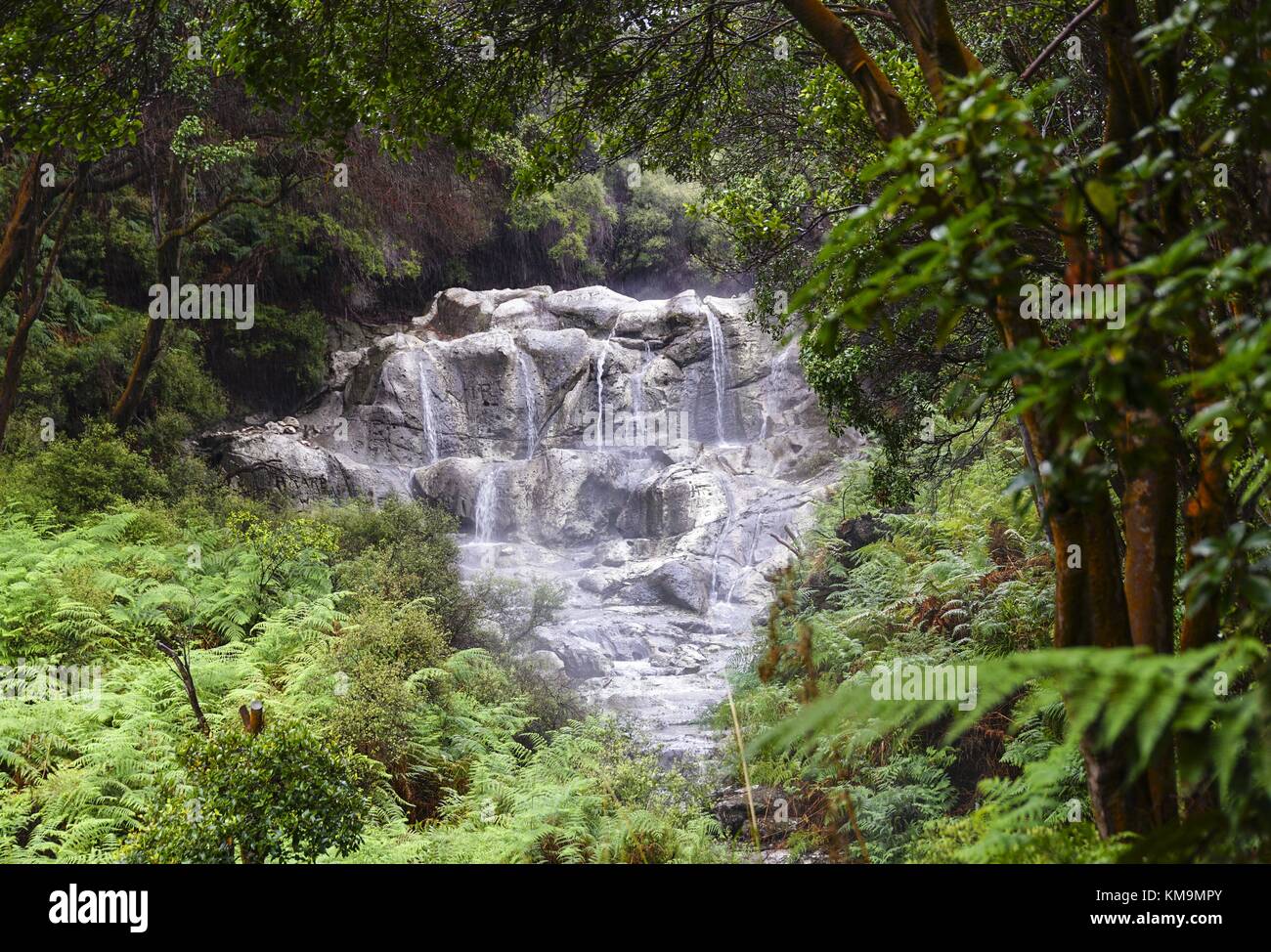 Hells gate geothermal park new zealand hi-res stock photography and ...
