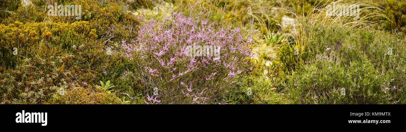 Harsh living conditions hi-res stock photography and images - Alamy