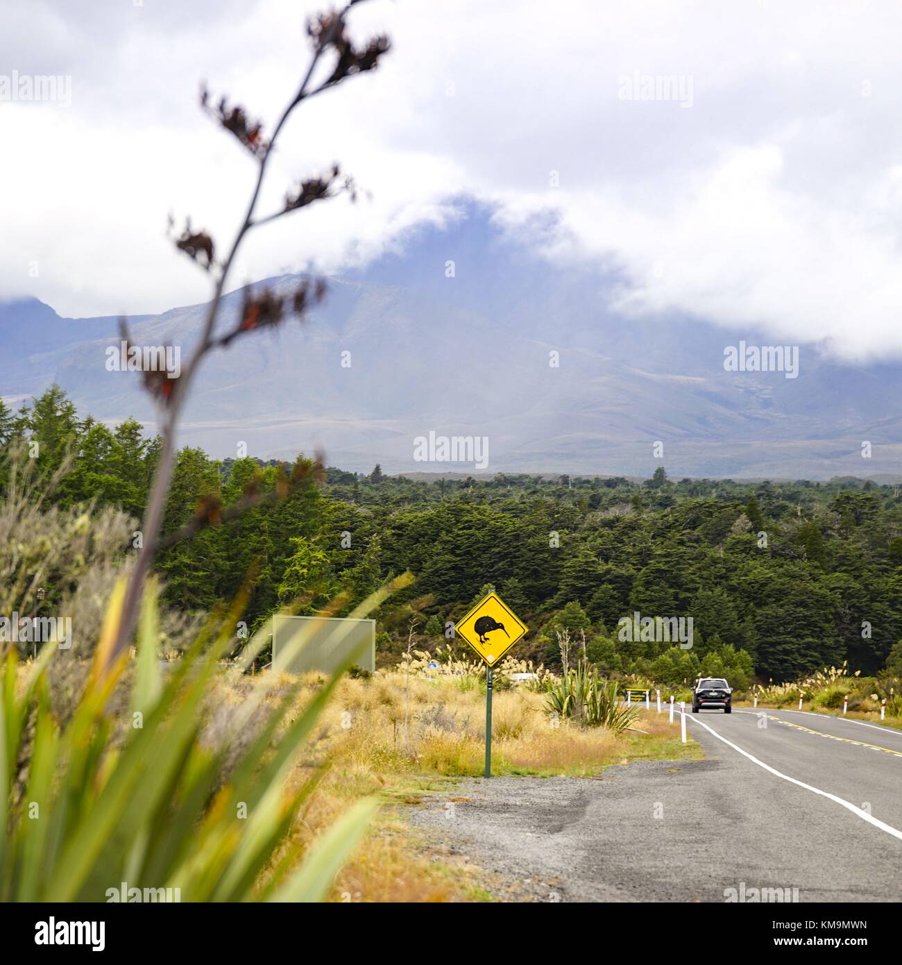 A yellow traffic sign at State Highway 4 in the Tongariro National Park ...